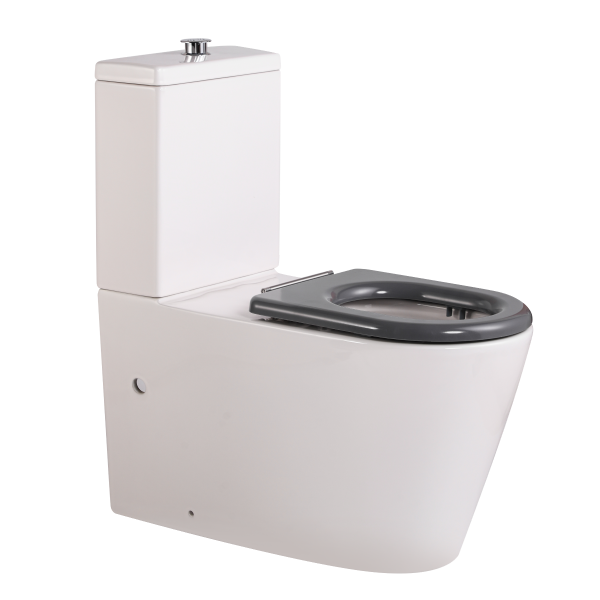 Care+ Fenton Rimless Back to Wall Care Toilet Suite - Grey Seat ...