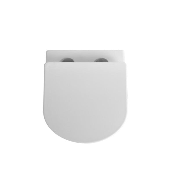 Haze Rimless Wall Faced Pan and Seat - White – Bathware Direct